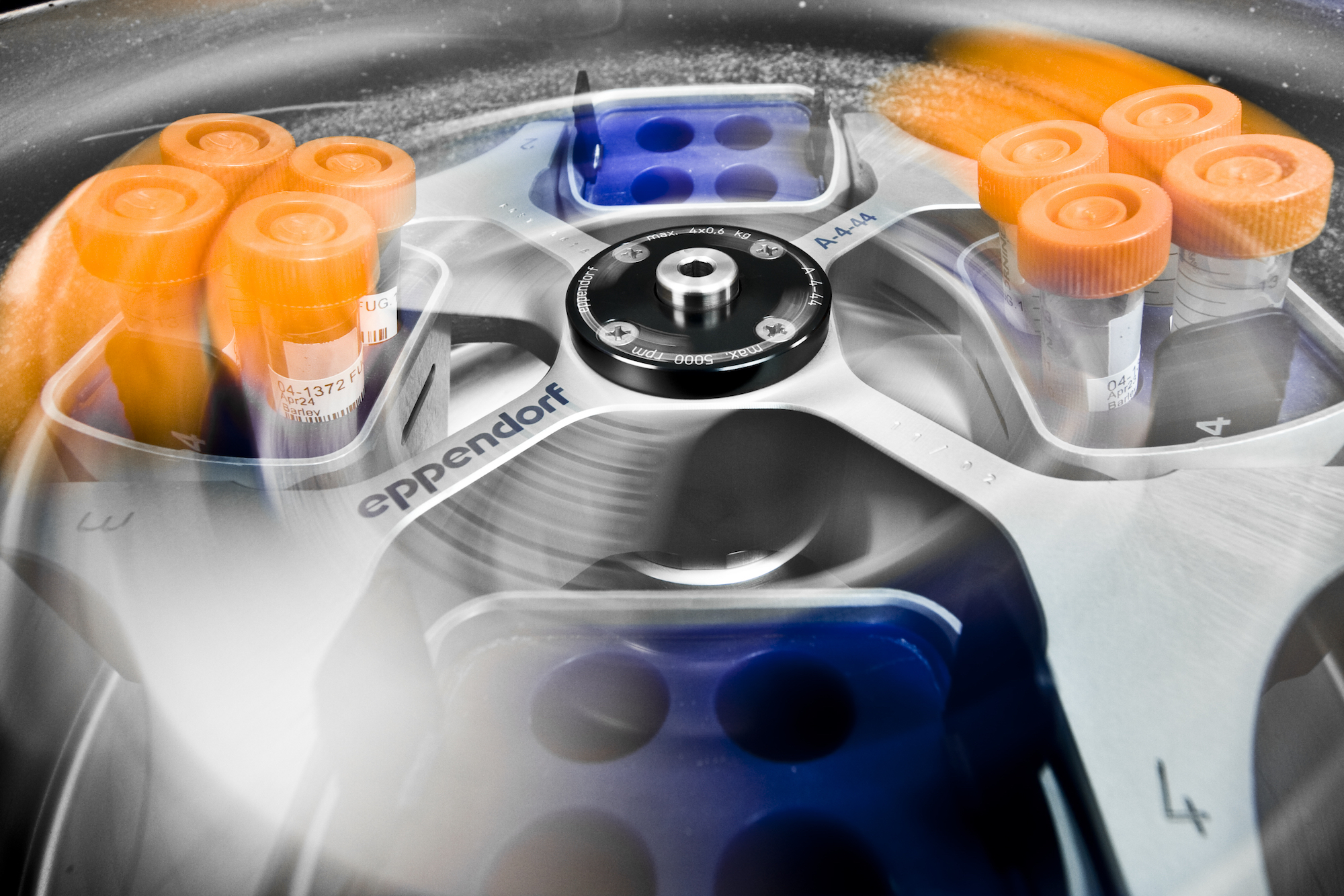 20/20 Seed Labs Inc. | Never Stop Growing – Germination, Physical ...