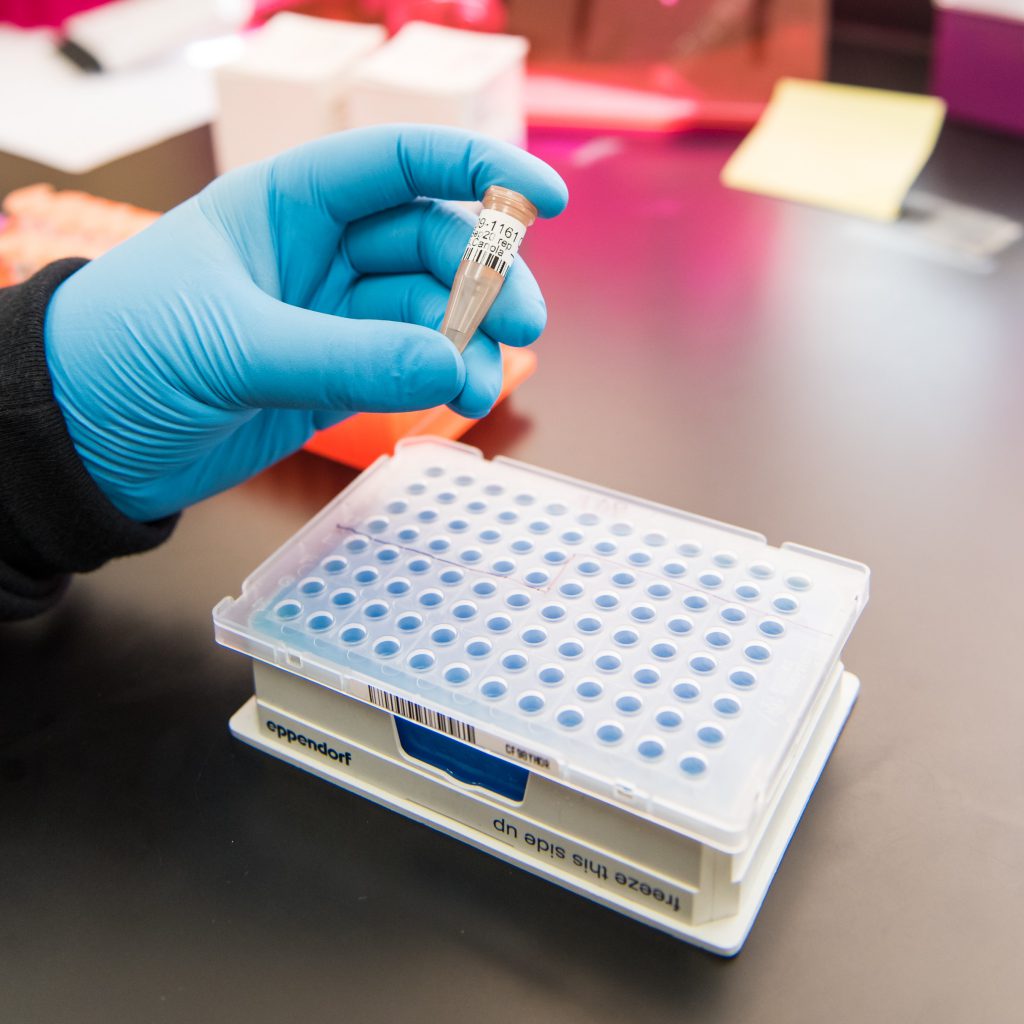 Seed Testing Services - 2020 Seed Labs