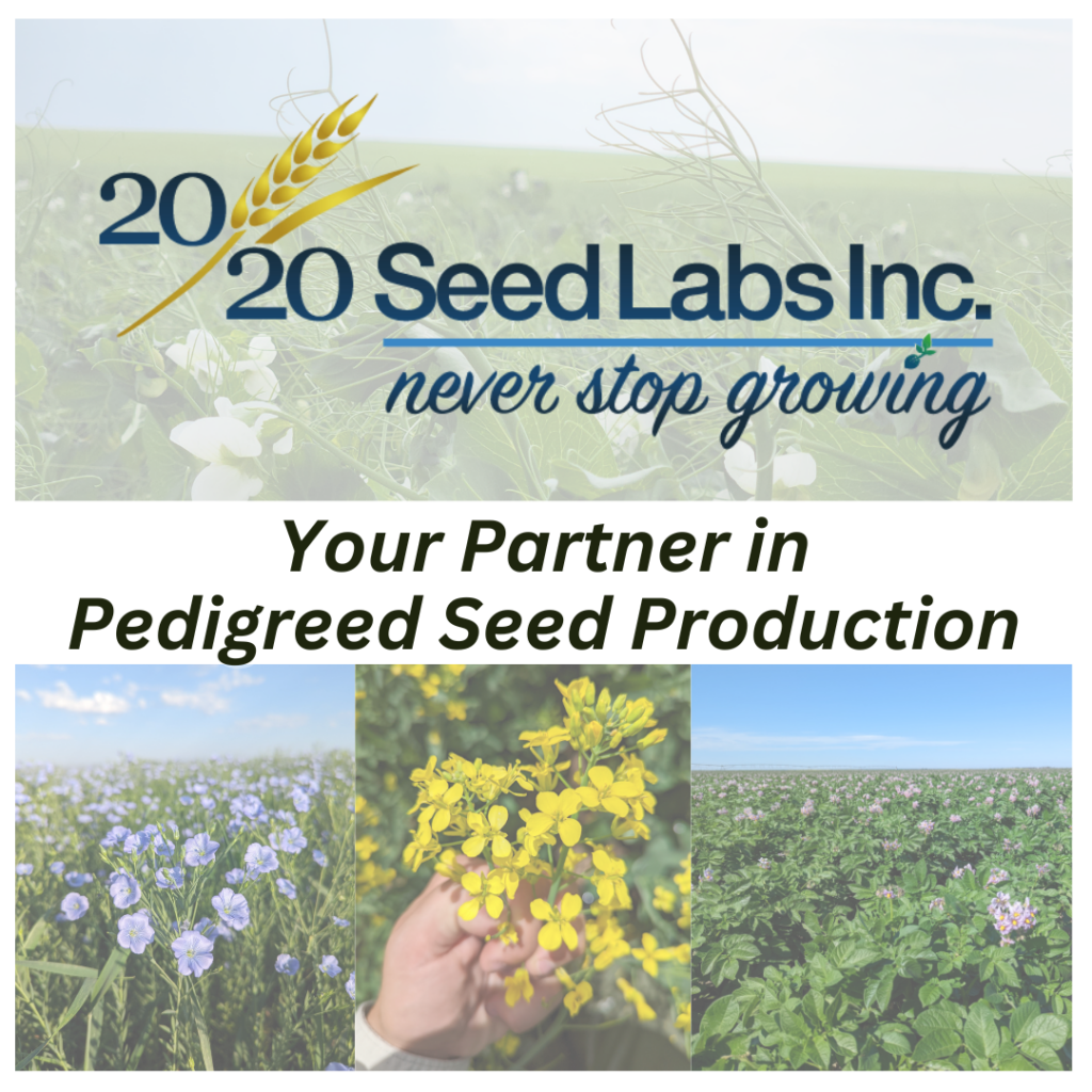 Learning Centre - 2020 Seed Labs