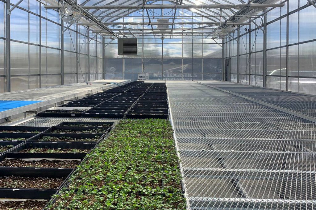 Greenhouse - 2020 Seed Labs