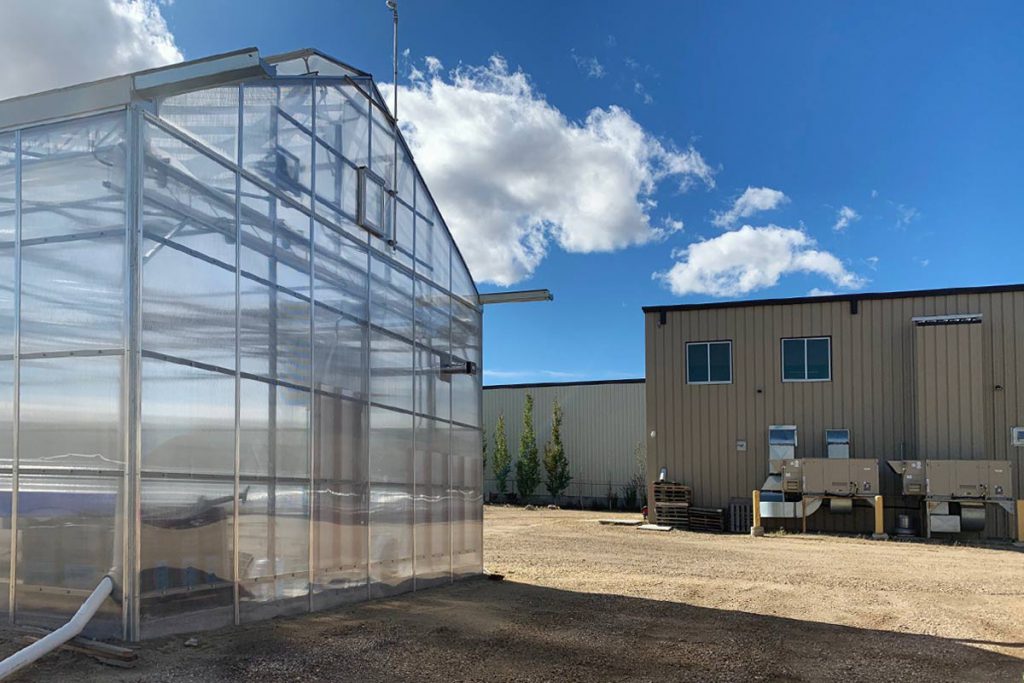 Greenhouse - 2020 Seed Labs