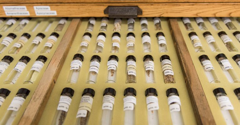 Home - 2020 Seed Labs