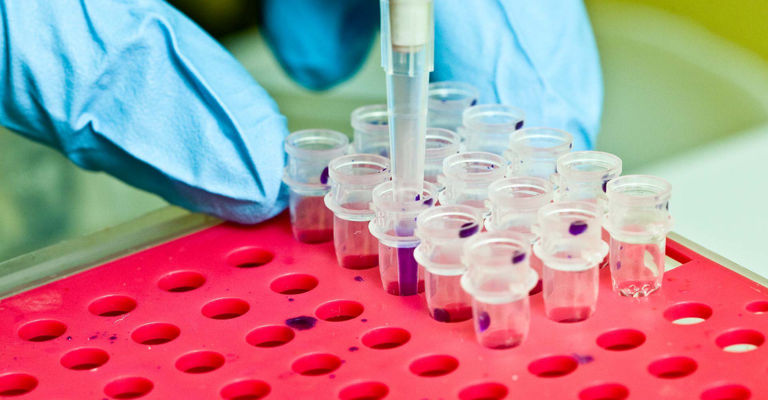 Home - 2020 Seed Labs