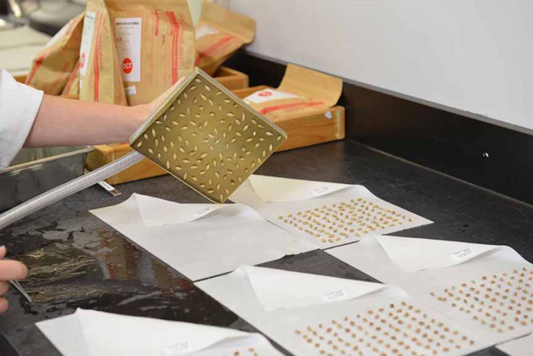 Alberta Lab - 2020 Seed Labs