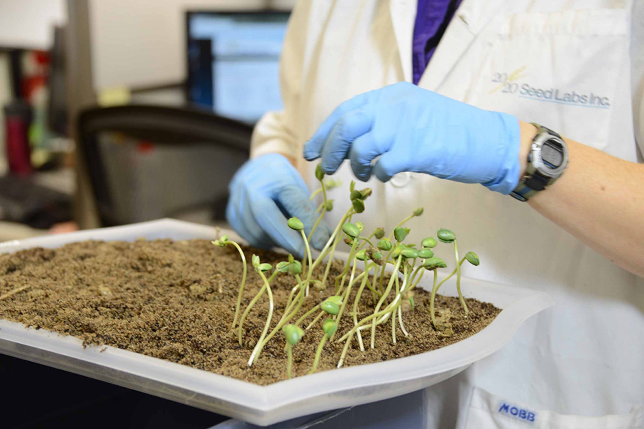 Alberta Lab - 2020 Seed Labs