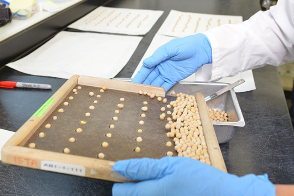 Alberta Lab - 2020 Seed Labs