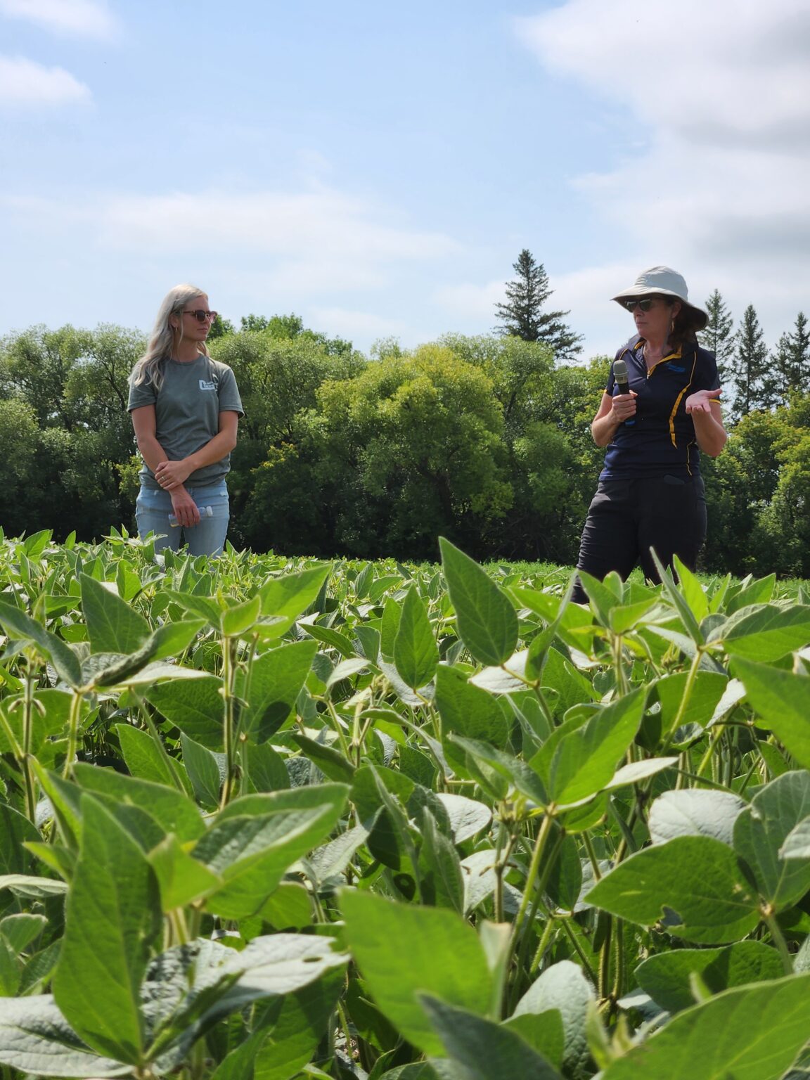 Learning Centre - 2020 Seed Labs