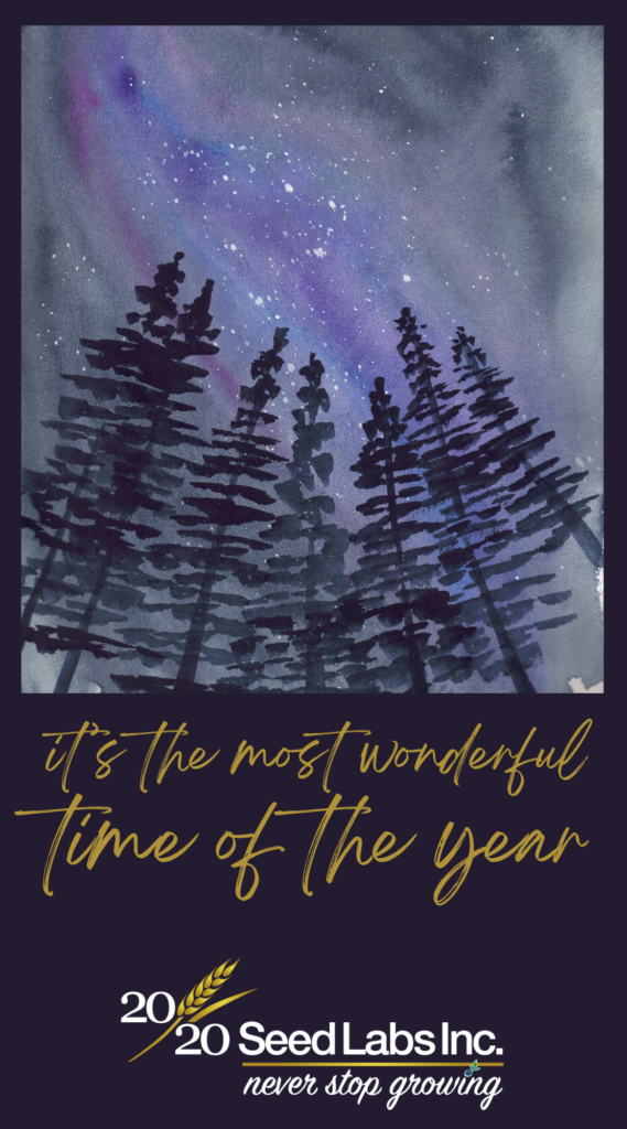 December at 20/20 Seed Labs - 2020 Seed Labs