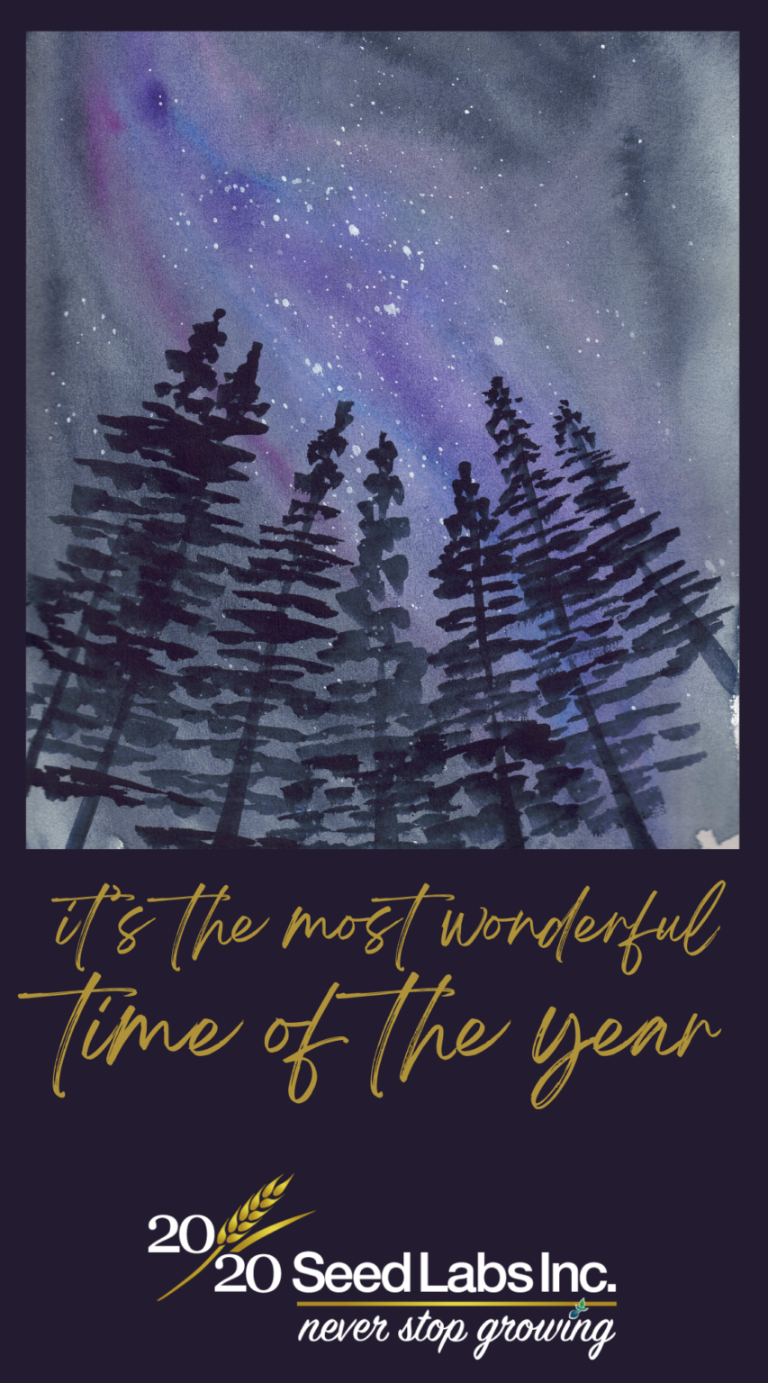 Home - 2020 Seed Labs