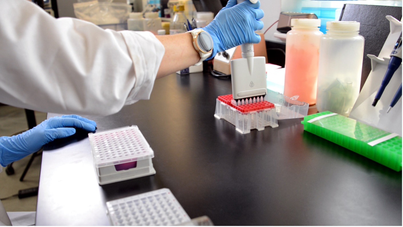 Molecular: More than meets the eye. - 2020 Seed Labs