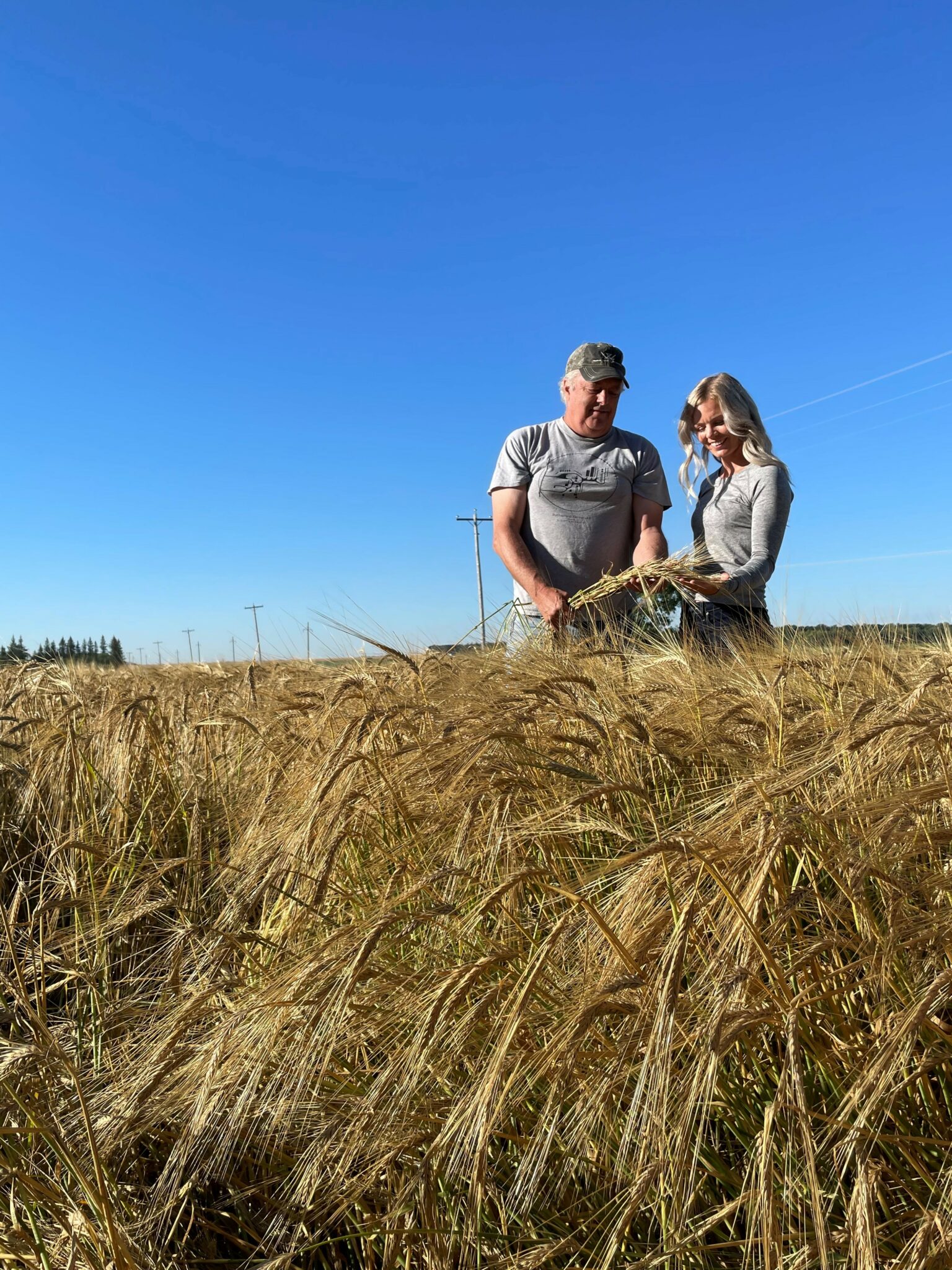 Home - 2020 Seed Labs
