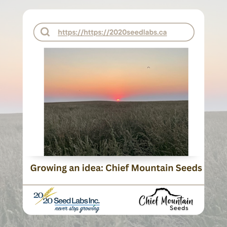 Home - 2020 Seed Labs