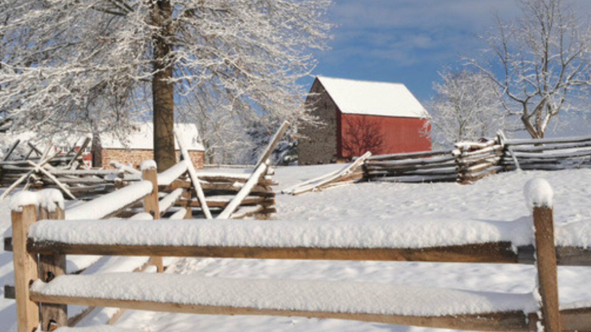 Home - 2020 Seed Labs