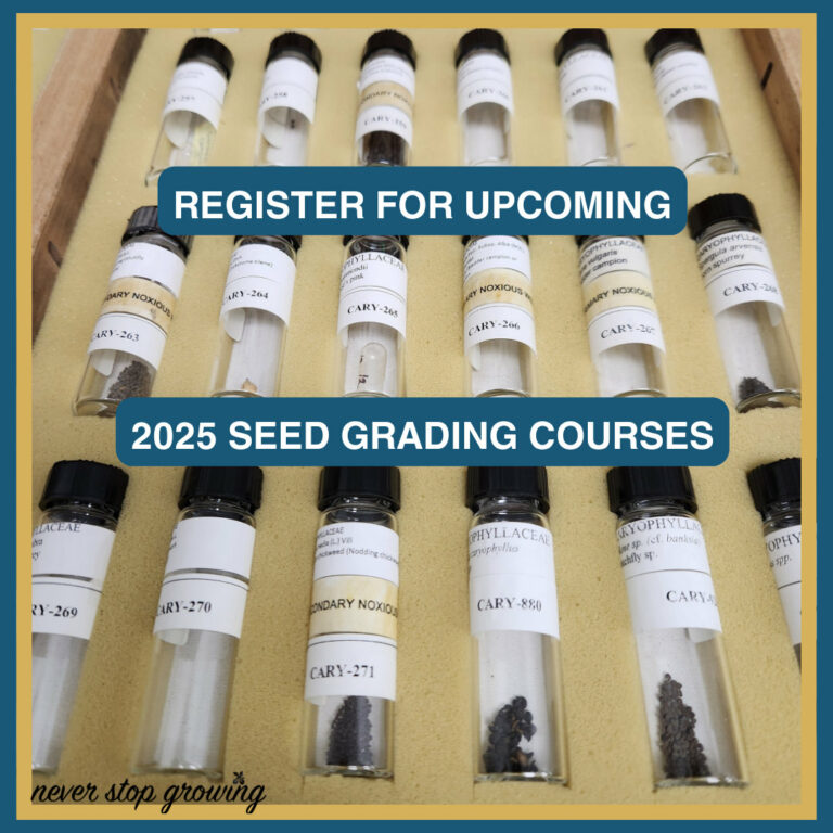 Seed Grading Courses - 2020 Seed Labs