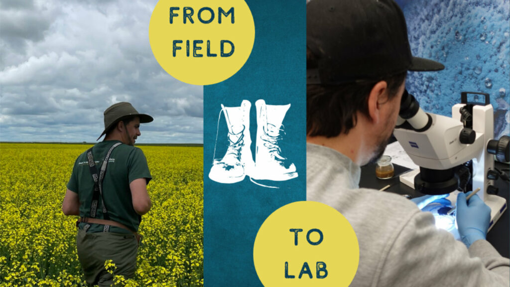 From Field to Lab with Joel Wenaus, Crop Inspection Manager 20/20 Seed ...