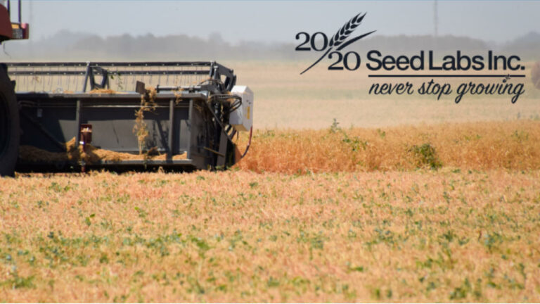 Mechanical Damage - 2020 Seed Labs
