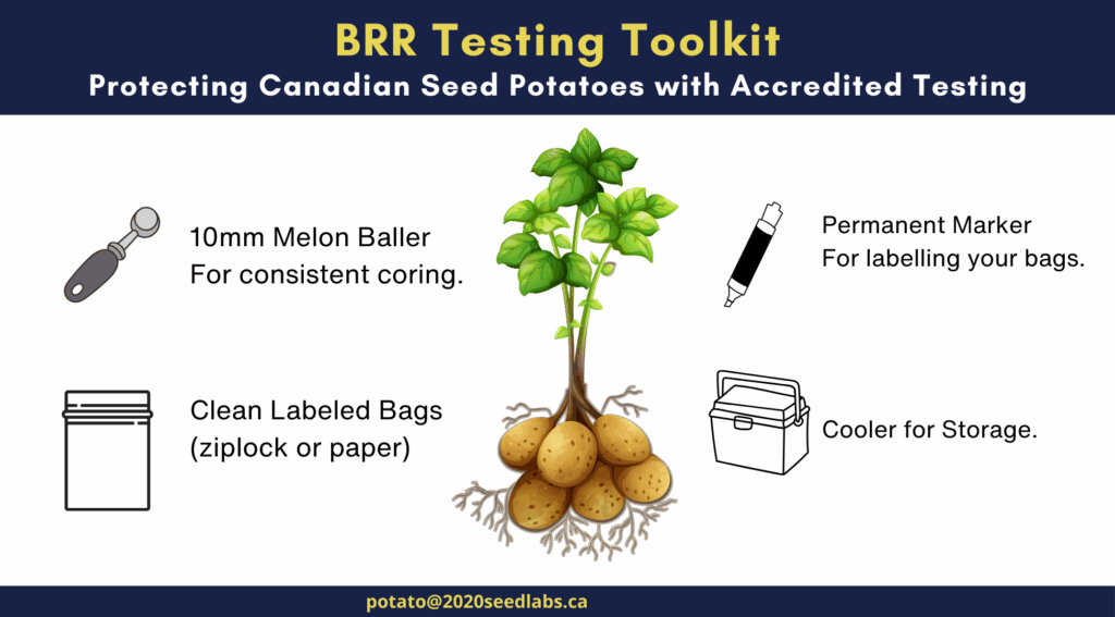 Potato Testing - 2020 Seed Labs