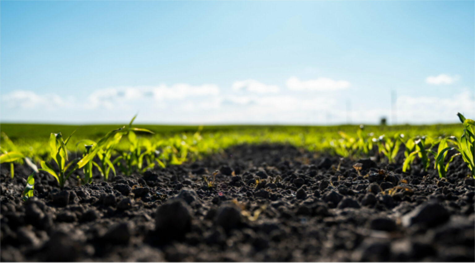 Home - 2020 Seed Labs