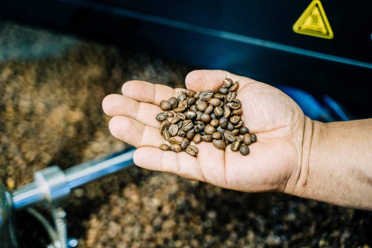 Bono Coffee | Fresh Ethiopian Coffee